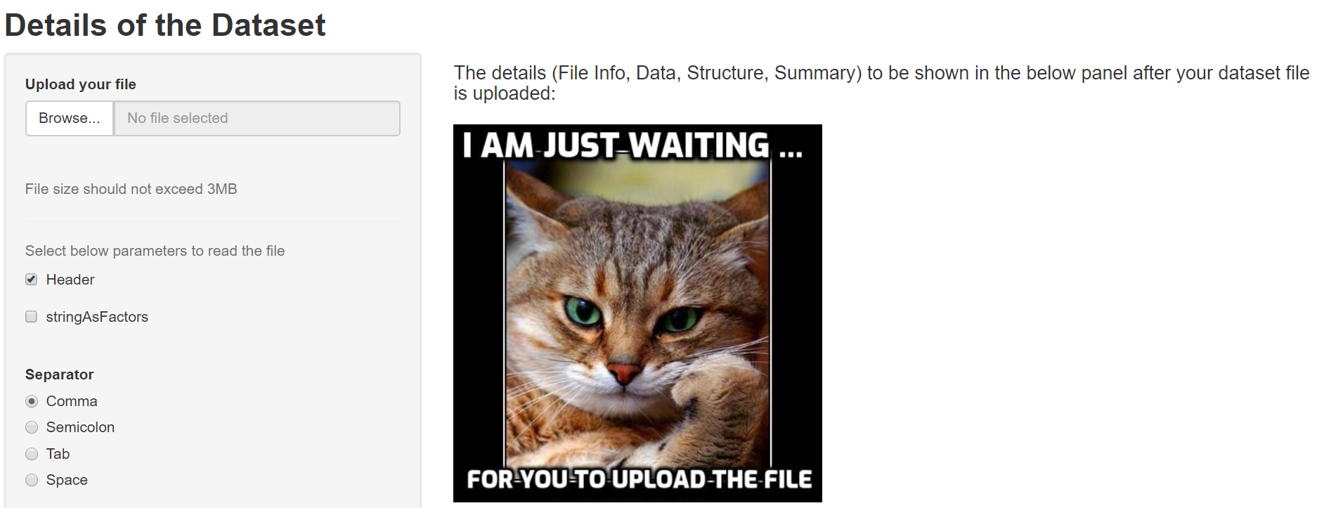 Uploading The File And Viewing The Dataset Display App” Using Shiny R Blogging And Learning